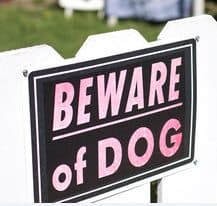 Common Misconceptions About Dog Bite Cases in South Carolina - Gus ...